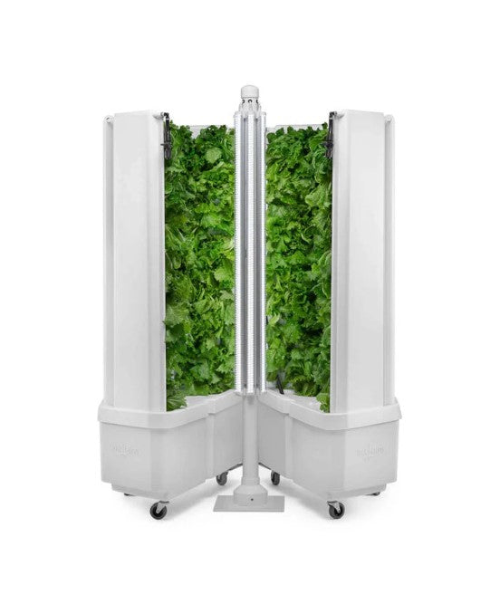 Hydroponics – Fair Chance Learning